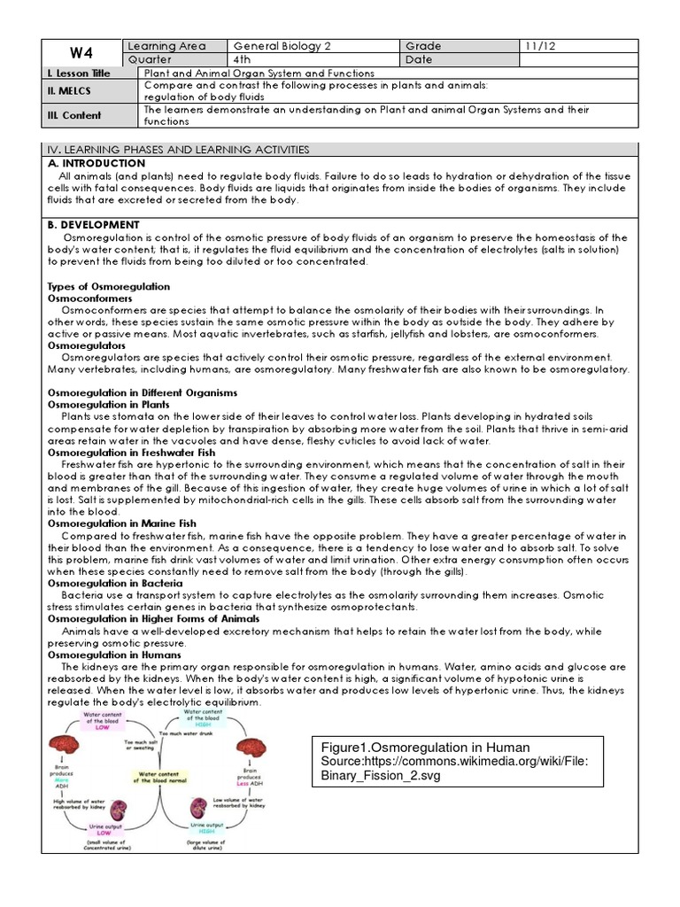 Gen Bio 2 Q4 Week 4 and 5 | PDF
