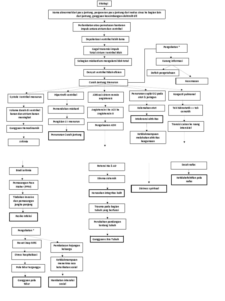 Pathway Av Block | PDF
