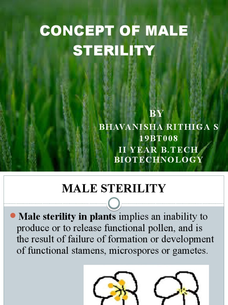 Concept of Male Sterility | PDF | Plants | Genetics