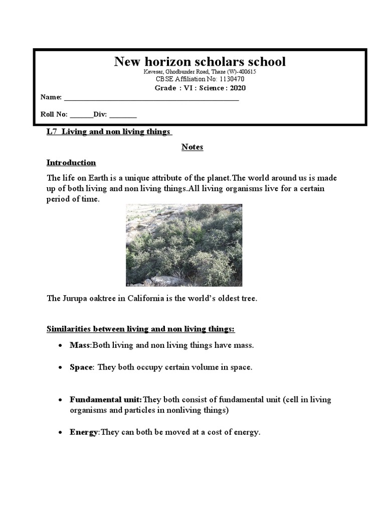 L7 Living and Non Living Things (Notes1) | PDF | Life | Organisms