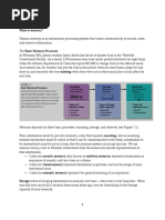 Pgi Memory Scale | PDF | Recall (Memory) | Memory