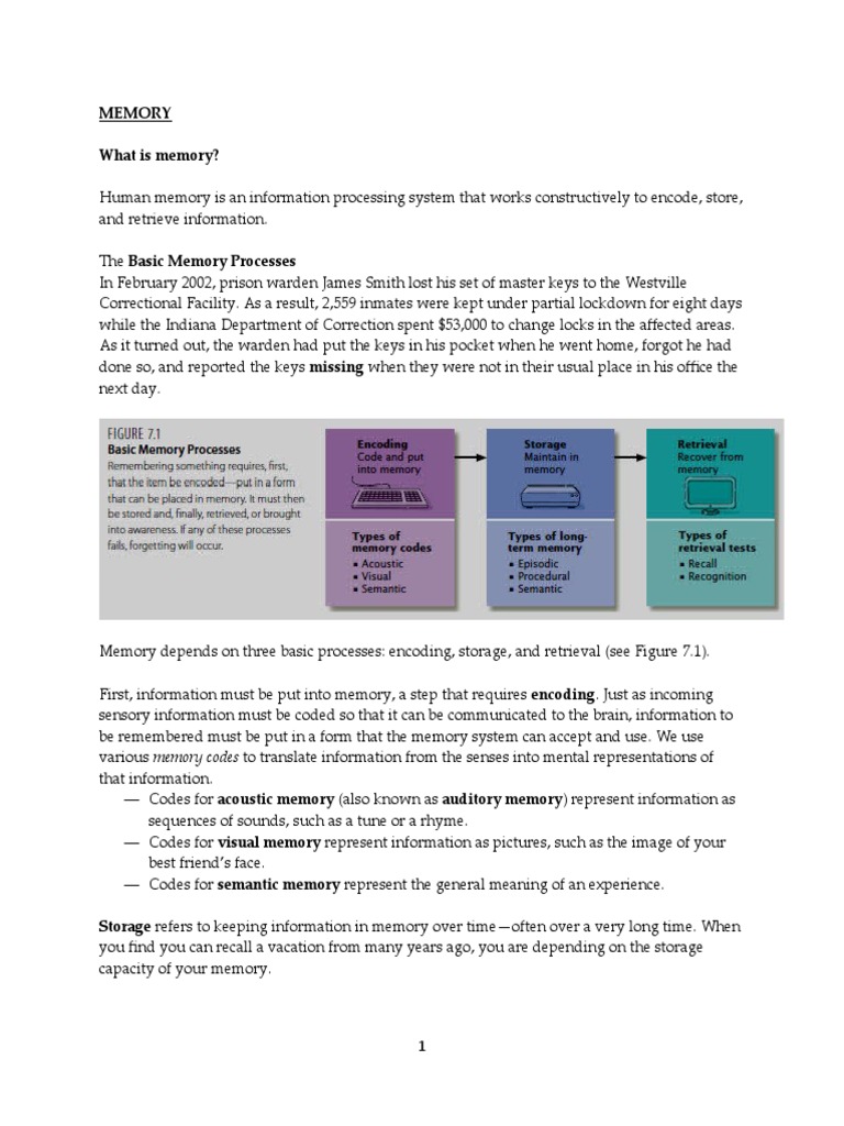 Memory What Is Memory? | PDF | Memory | Recall (Memory)