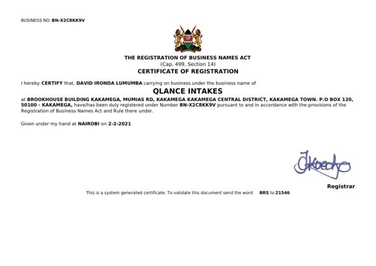 BN-X2C8KK9V-Business Registration Certificate | PDF