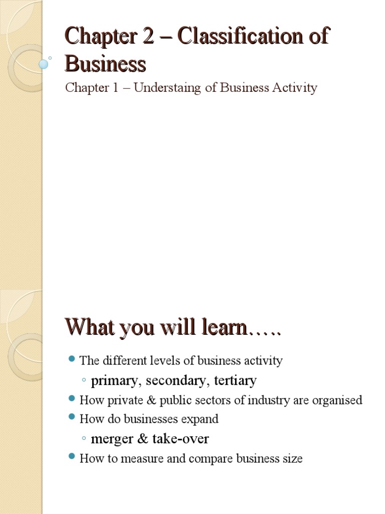 Chapter 2 - Classification of Business | PDF | Privatization | Tertiary ...