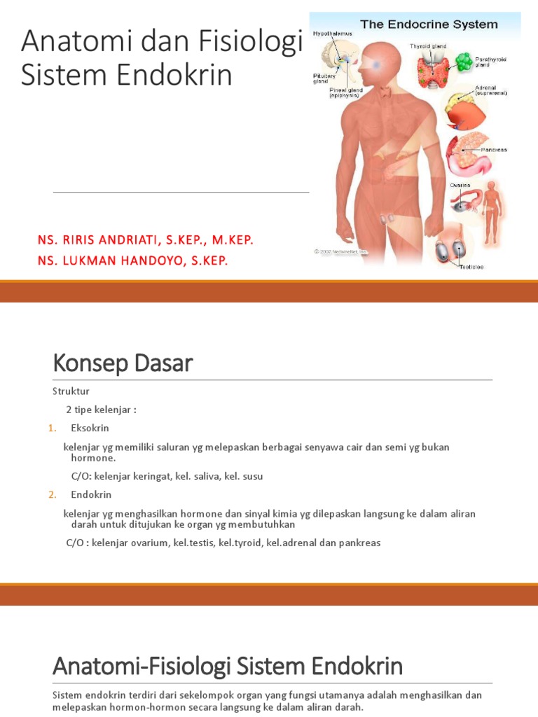 Pertemuan 1 - Anatomi Fisiologi Sistem Endokrin | PDF