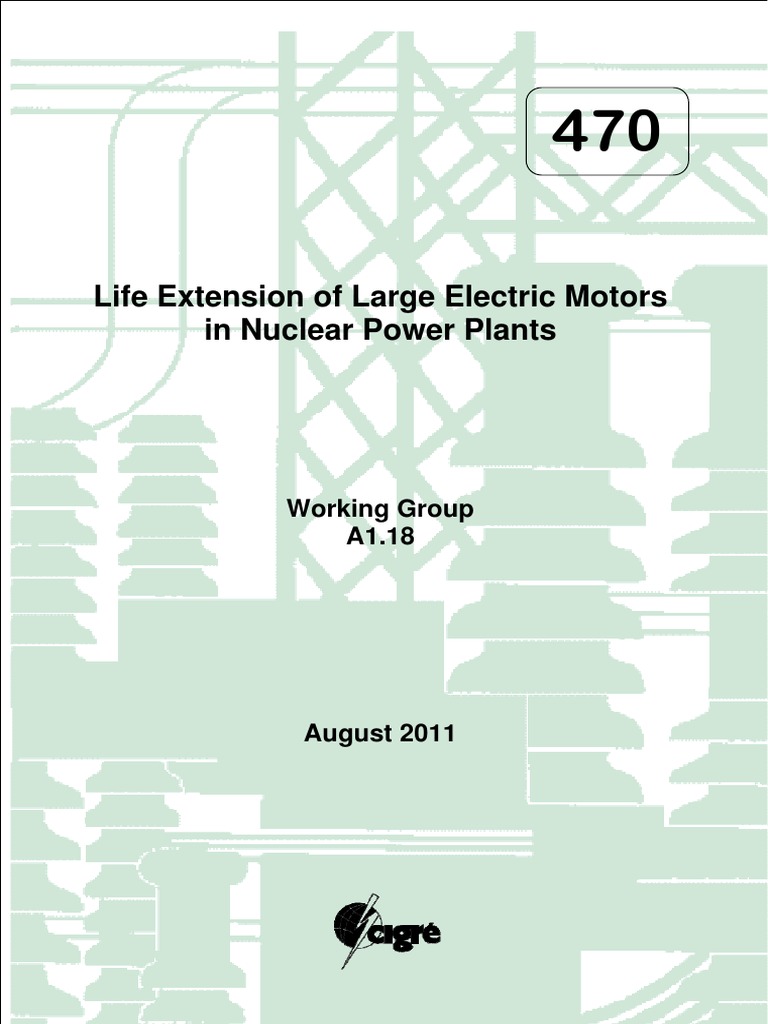 Life Extension of Large Electric Motors | PDF | Electric Motor ...