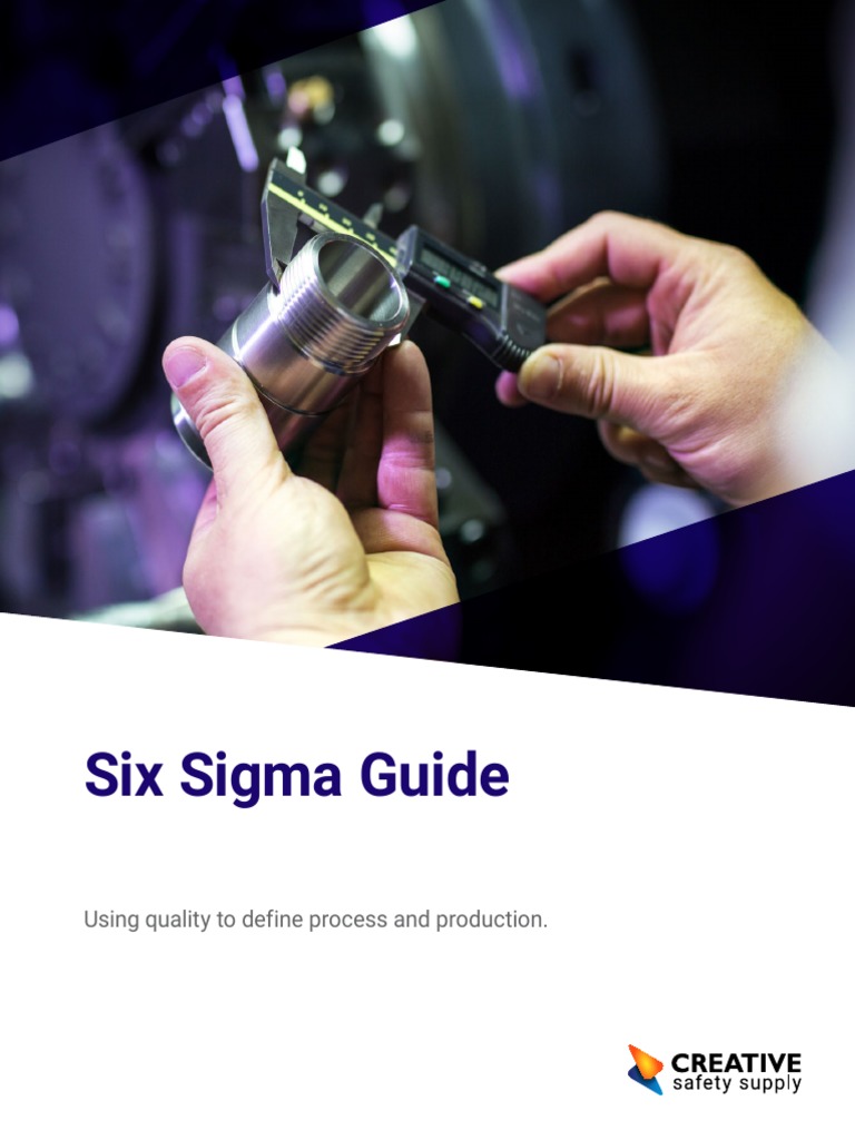 Six Sigma Guide: Using Quality To Define Process and Production | PDF ...