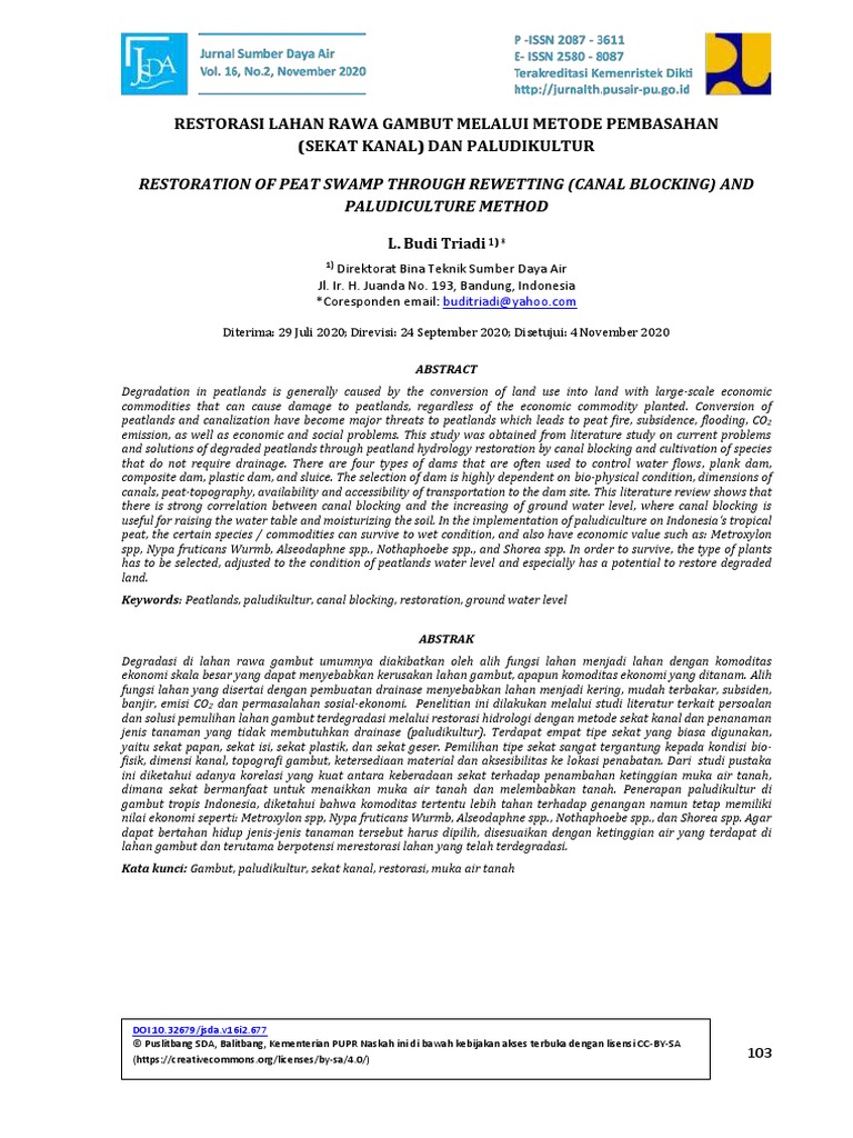 Restoration of Peat Swamp Through Rewetting (Canal Blocking) and ...
