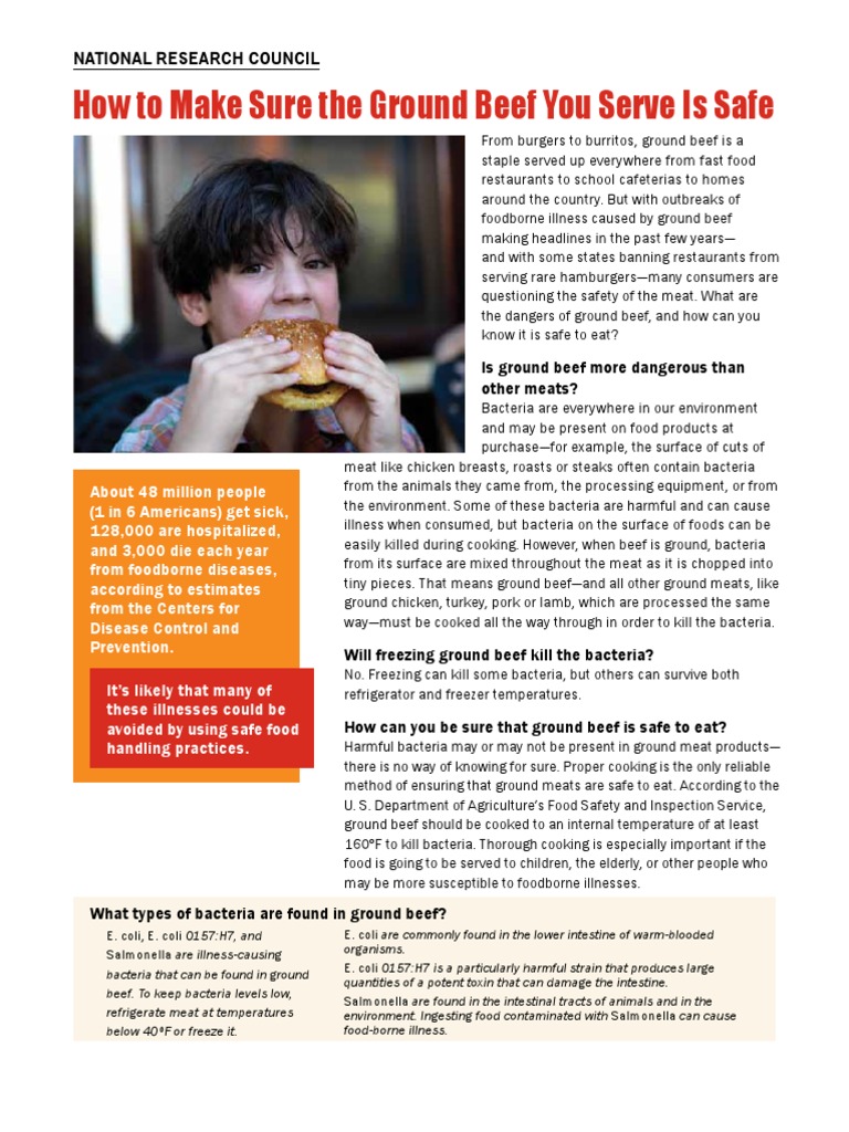 Ground Beef Fact Sheet | Download Free PDF | Ground Beef | Foodborne ...
