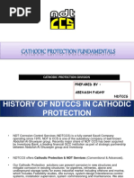 Ground Disturbance Checklist Revise | PDF | Nature