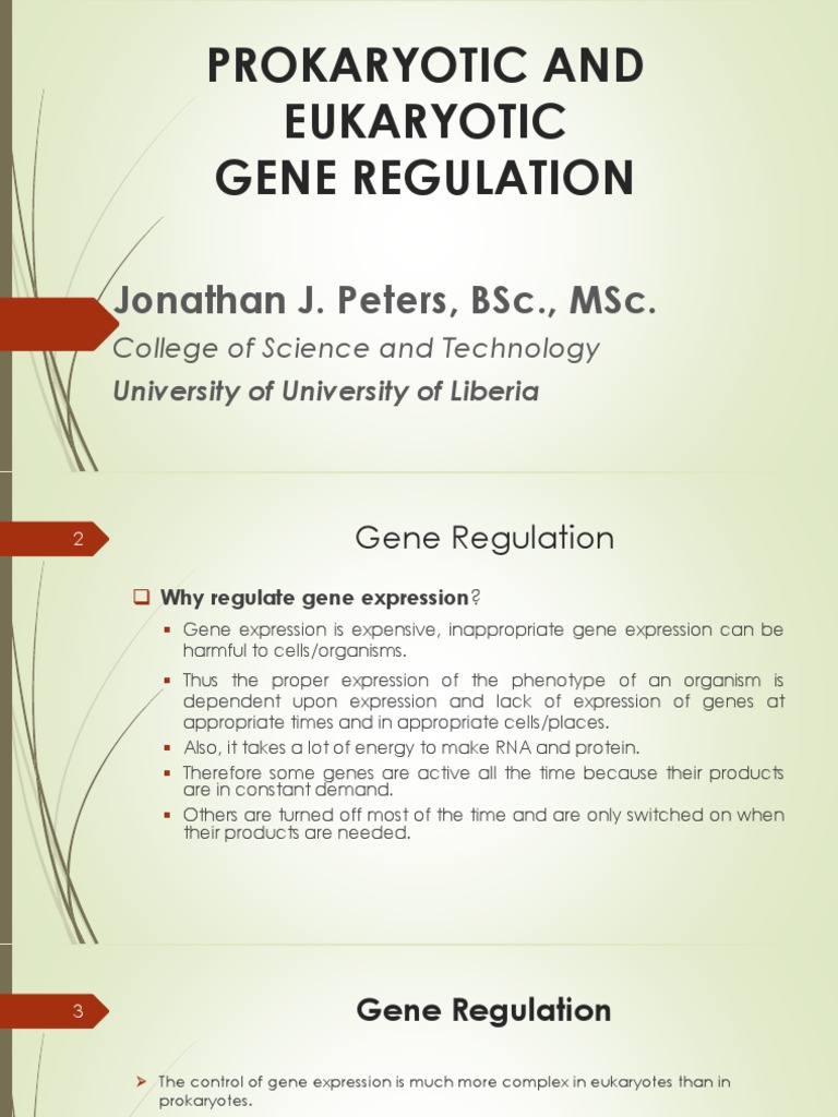 Prokaryotic vs Eukaryotic Gene Regulation | PDF | Operon | Repressor