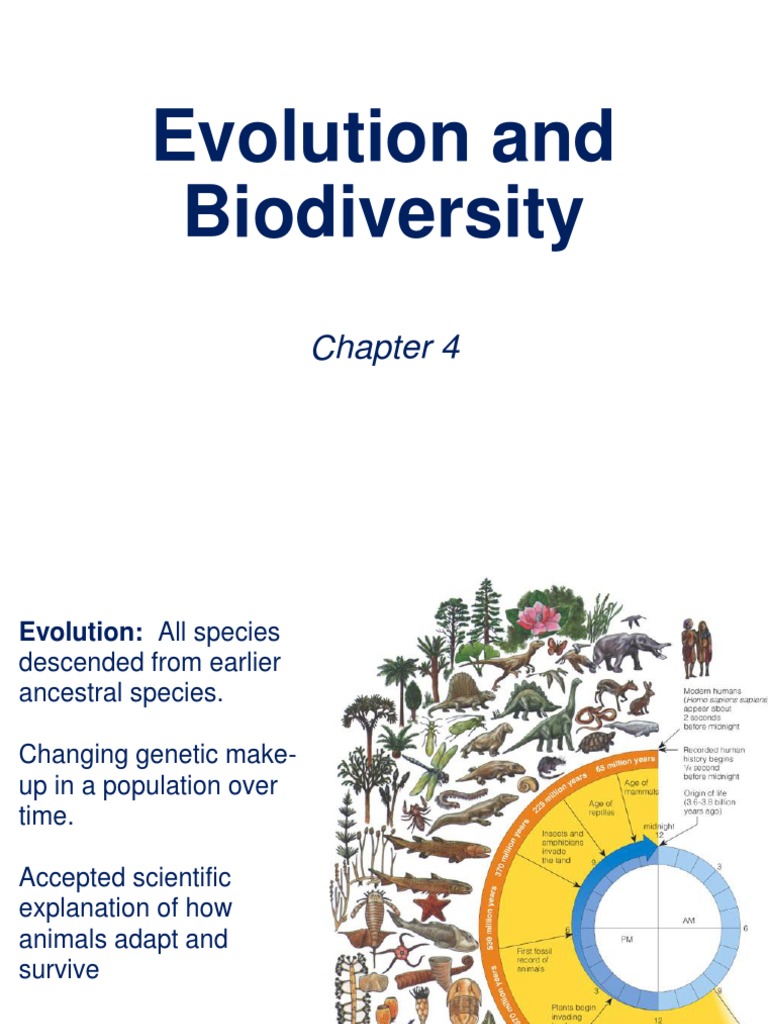 Evolution and Biodiversity Basics | PDF | Evolution | Natural Selection