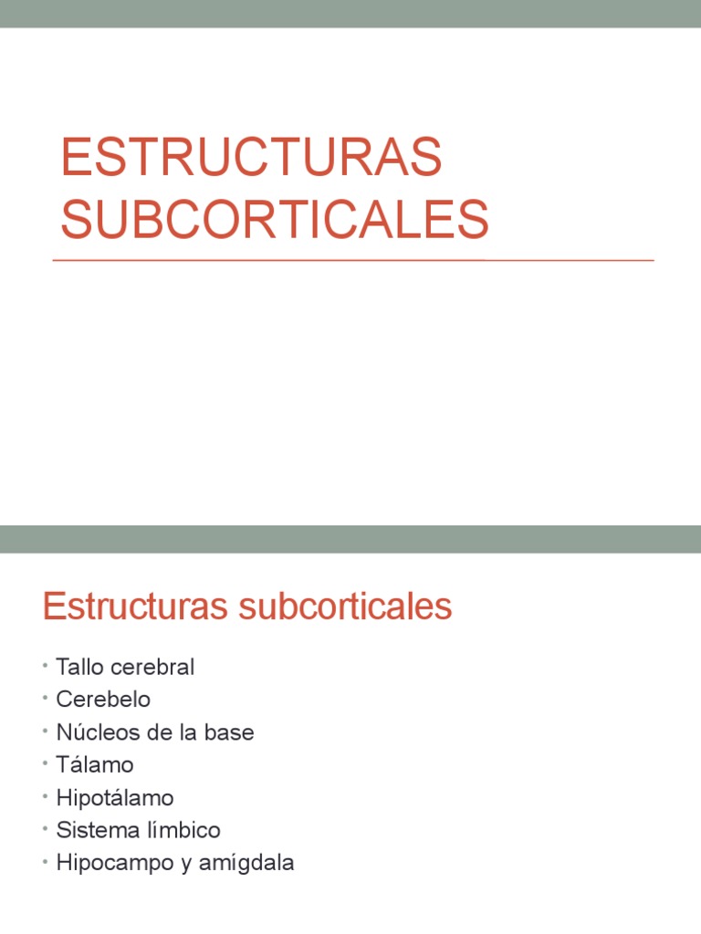 Estructuras Subcorticales del Cerebro | PDF | Cerebelo | Tálamo