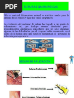 ESCALA DE ARMSTRONG (Todas Las Cat) | PDF