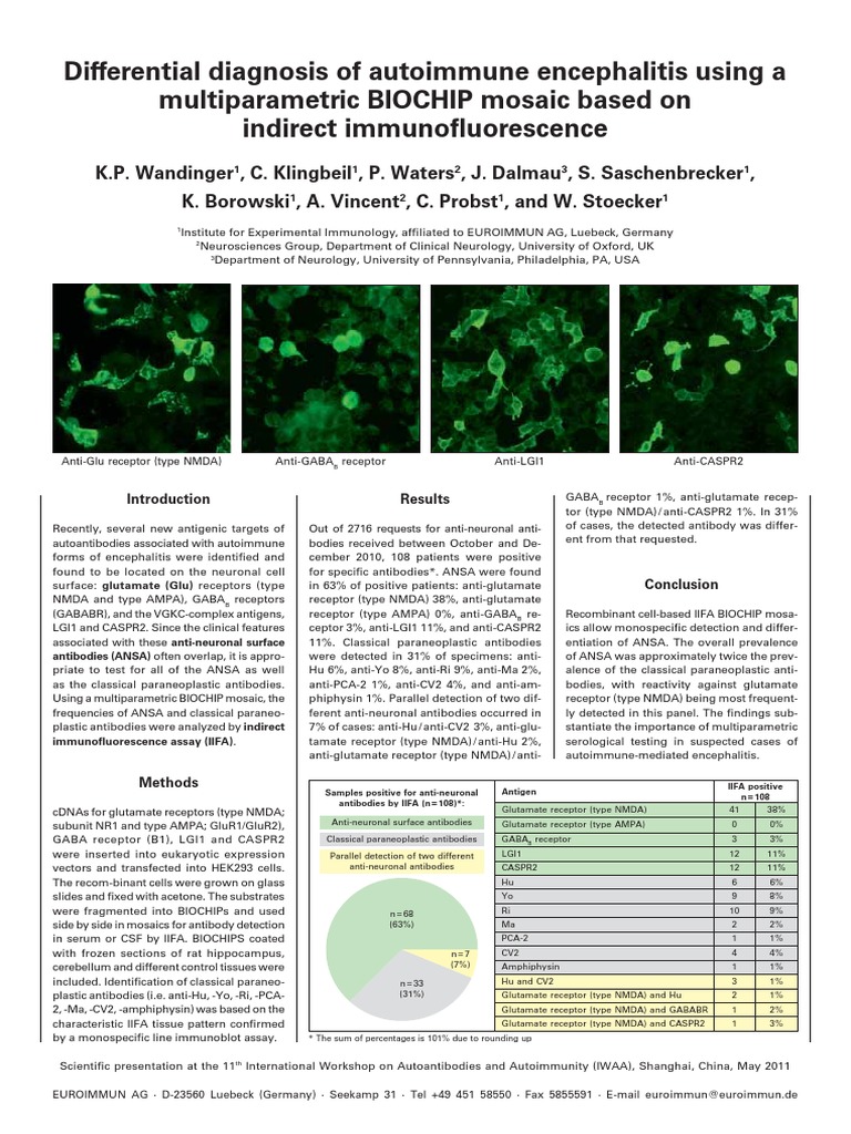 Differential Diagnosis of Autoimmune Encephalitis Using A ...