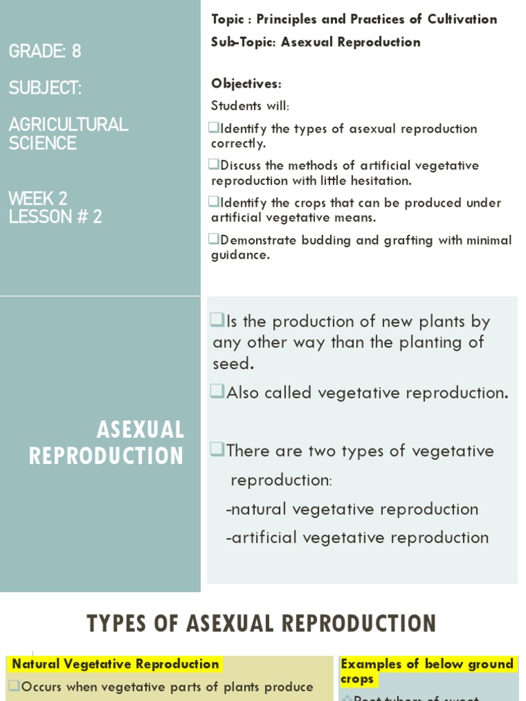 Grade 8 Agriculture Science Week 2 Lesson 2 | PDF | Grafting ... Grade 8 Agriculture Science Week 2 Lesson 2 | PDF | Grafting ...
