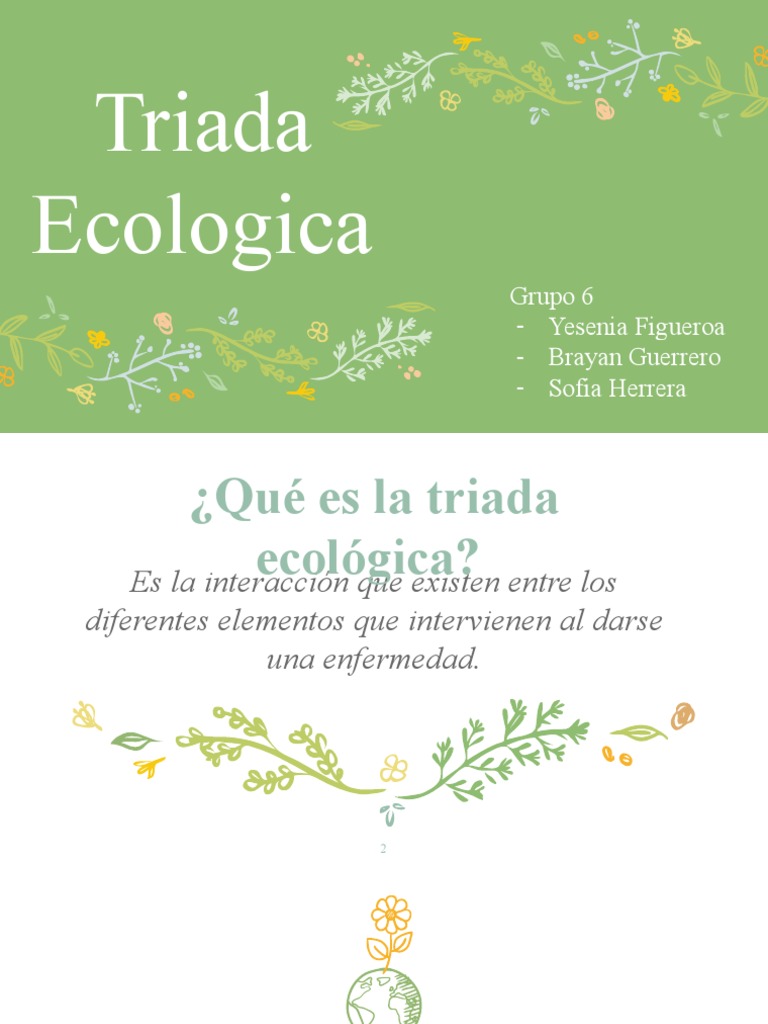 Triada Ecologica | PDF | Relaciones personales, crianza y desarrollo personal | Salud y bienestar
