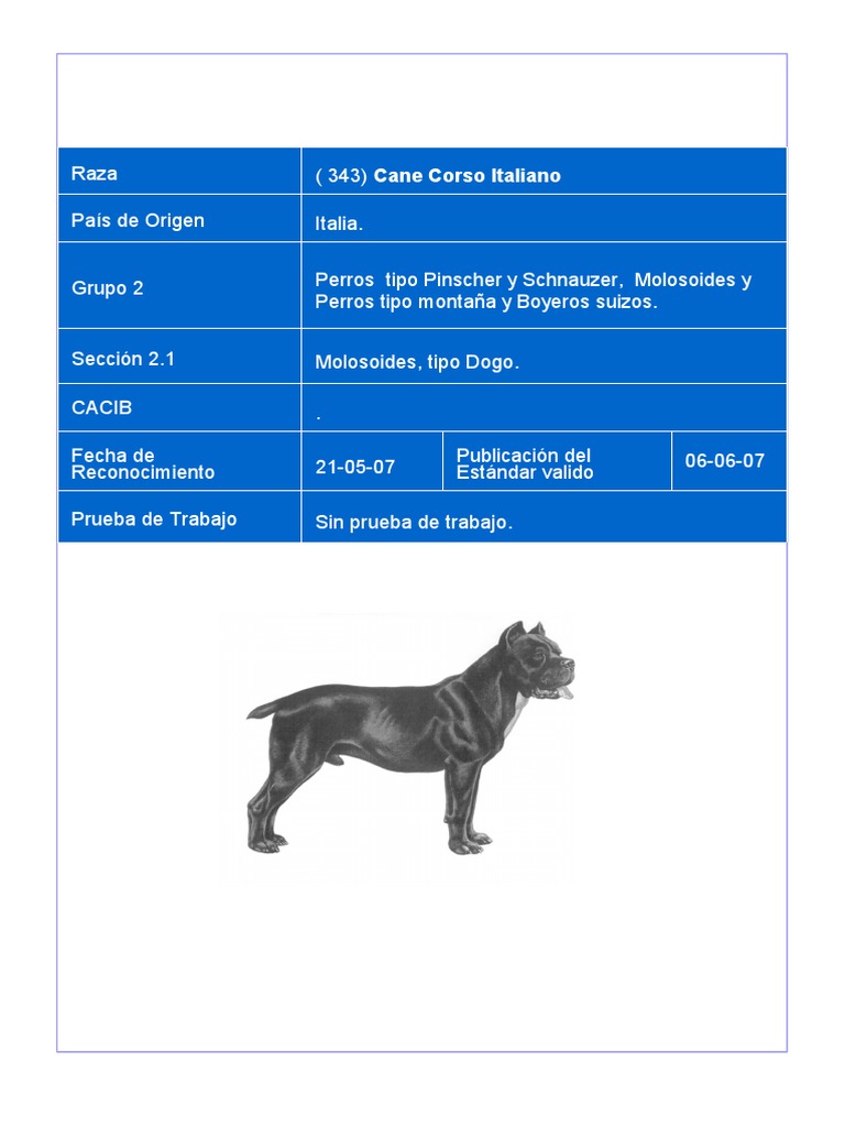 Cane Corso | PDF | Perros | Razas de perros