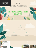 AORN Comprehensive Surgical Checklist 2016 | PDF | Surgery | Anesthesia