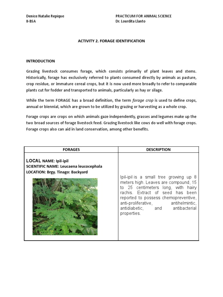 Activity 2. Forage Identification: Denice Natalie Repique Practicum For ...