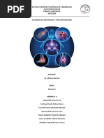 Signo de Mapache | PDF | Lesión | Medicina