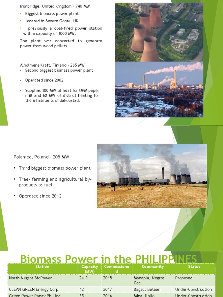 Biomass Energy | PDF | Biogas | Sustainable Technologies