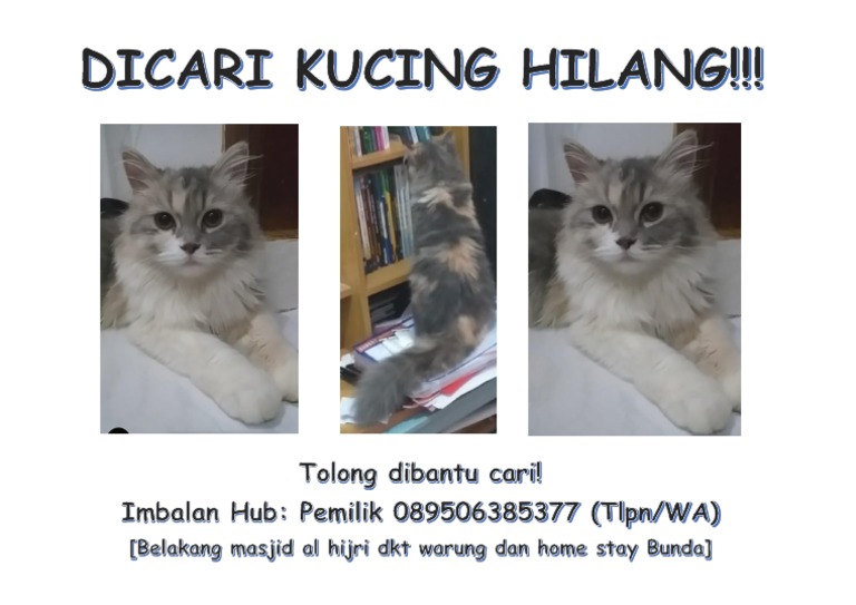 Contoh Poster Kehilangan Kucing | PDF