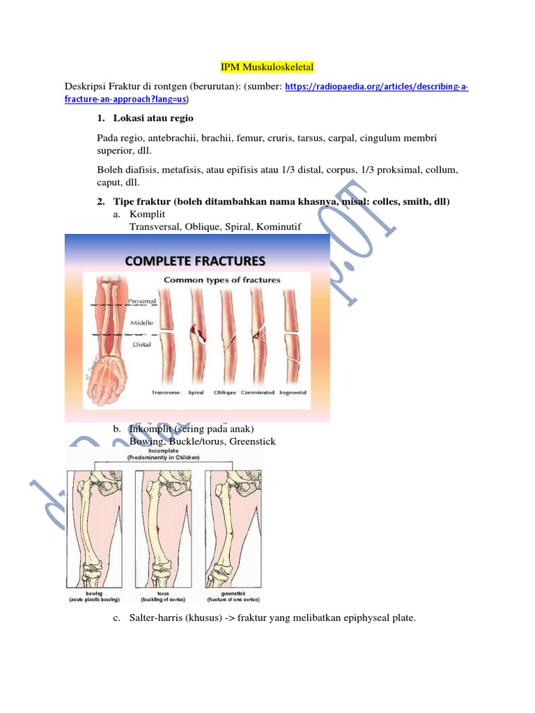 Interpretasi Rontgen Muskuloskeletal | PDF