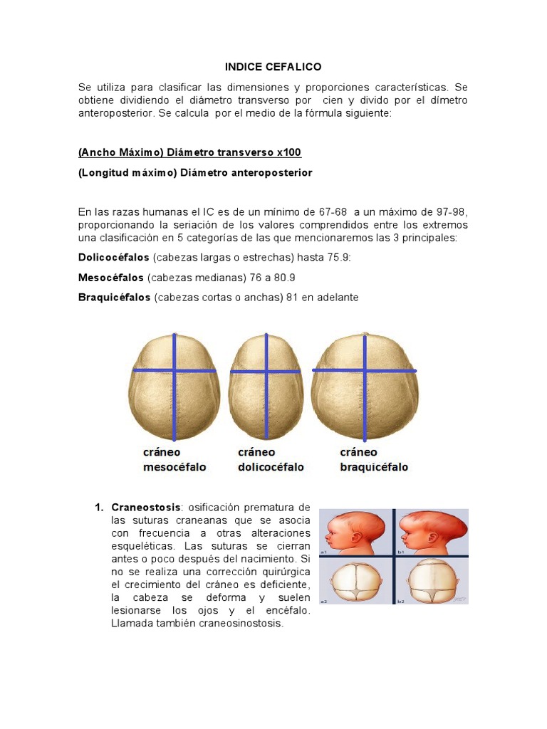 Indice Cefalico | PDF | Salud infantil | Sistema musculoesquelético
