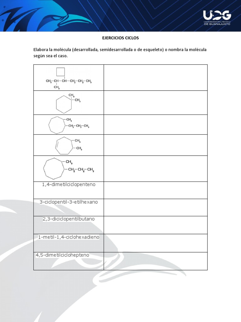 Ejercicios de Ciclos | PDF