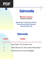 ZOXIL Antibiotic Patient Leaflet | PDF | Birth Control | Breastfeeding