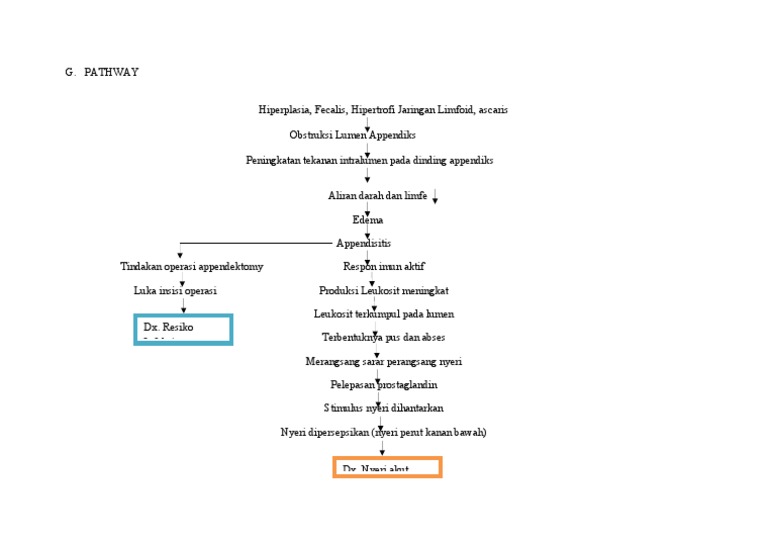 PATHWAY TB Tulang | PDF