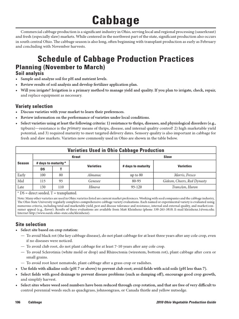 A Comprehensive Guide to Cabbage Production Practices in Ohio | PDF ...