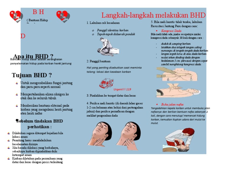 Leaflet B H D | PDF