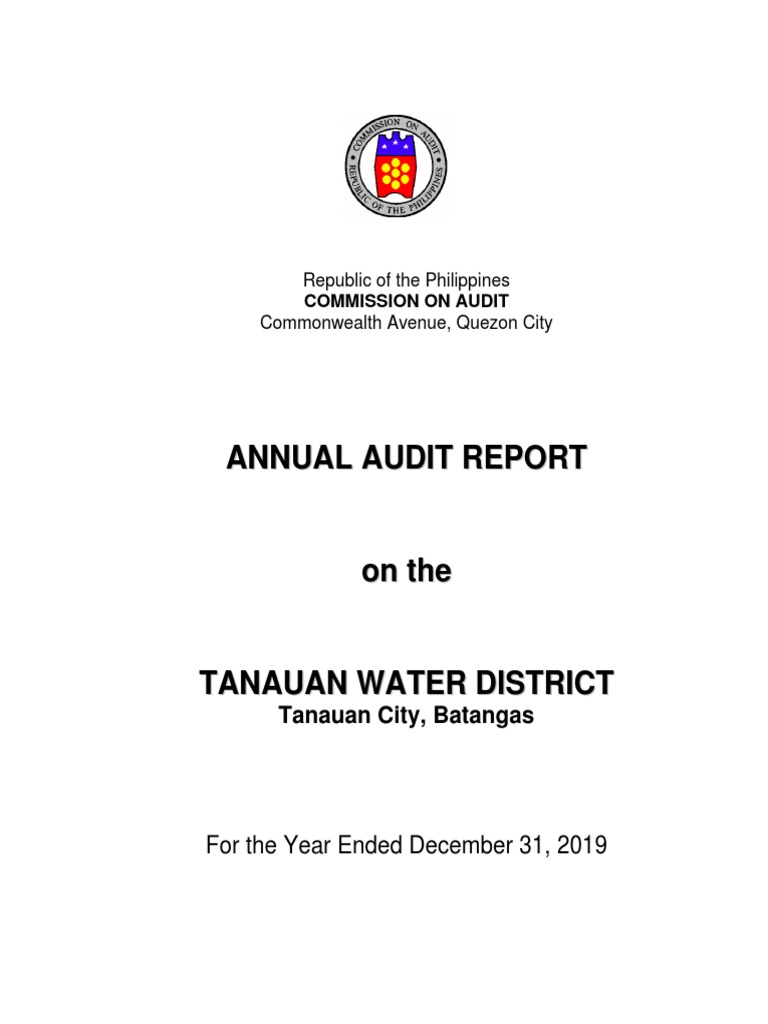 TanauanWD2019 Audit Report | Download Free PDF | Financial Audit | Audit