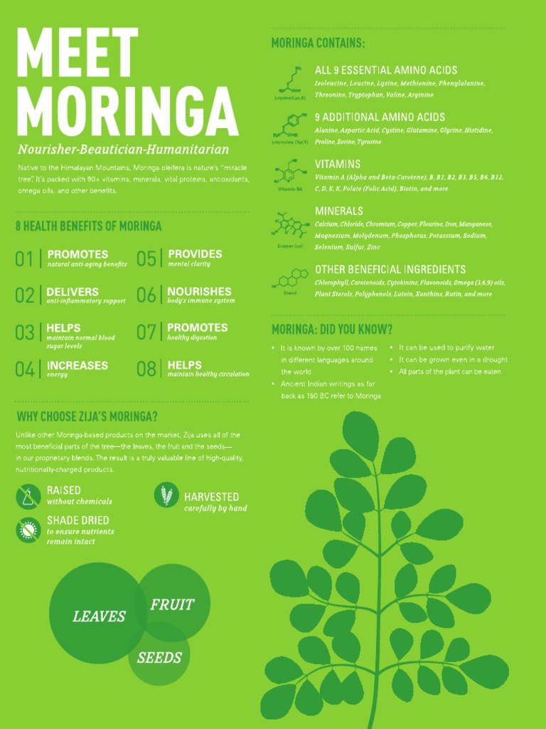 Moringa Infographic | PDF