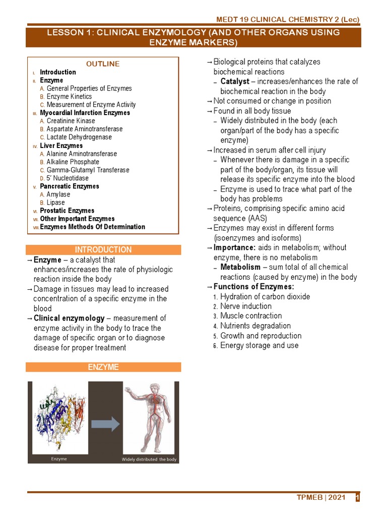 MEDT 19 (Lec) | PDF | Cofactor (Biochemistry) | Enzyme