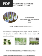 Grow Out Test: Presented by Kiran Dasanal | PDF | Sowing | Genetics