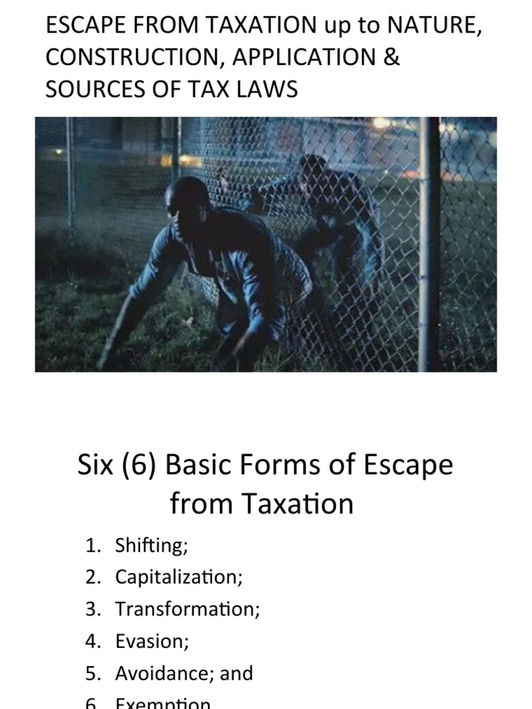 Forms of Tax Escape Explained | PDF | Tax Evasion | Taxes