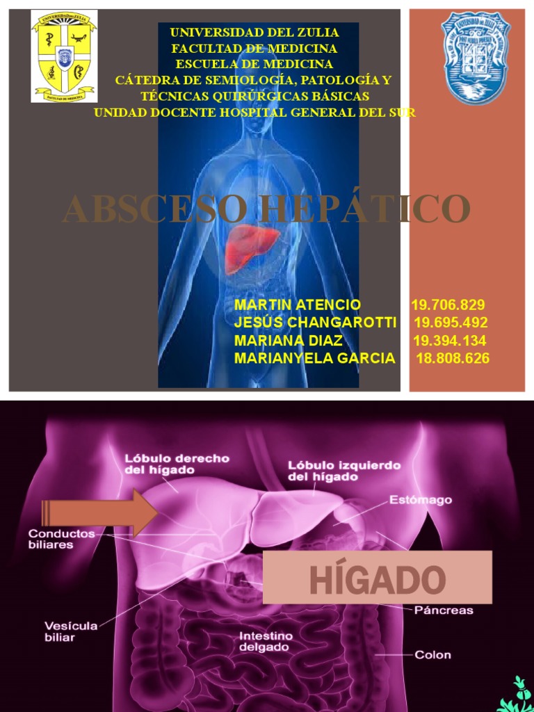 Diagnóstico y Tratamiento del Absceso Hepático | PDF | Hígado | Sistema ...