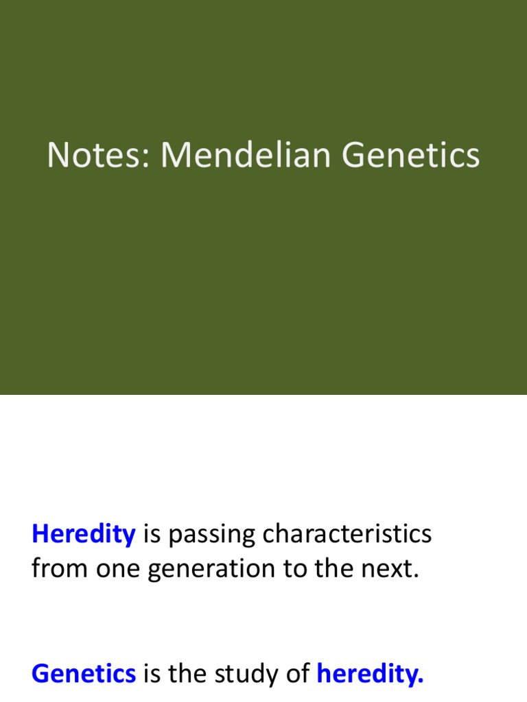 2-Mendel Notes For Website | PDF | Dominance (Genetics) | Allele