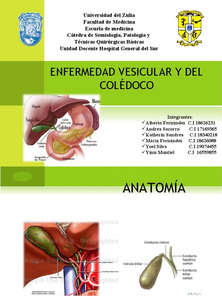 Enfermedad Vesicular y Del Coledoco | PDF | Vesícula biliar ...