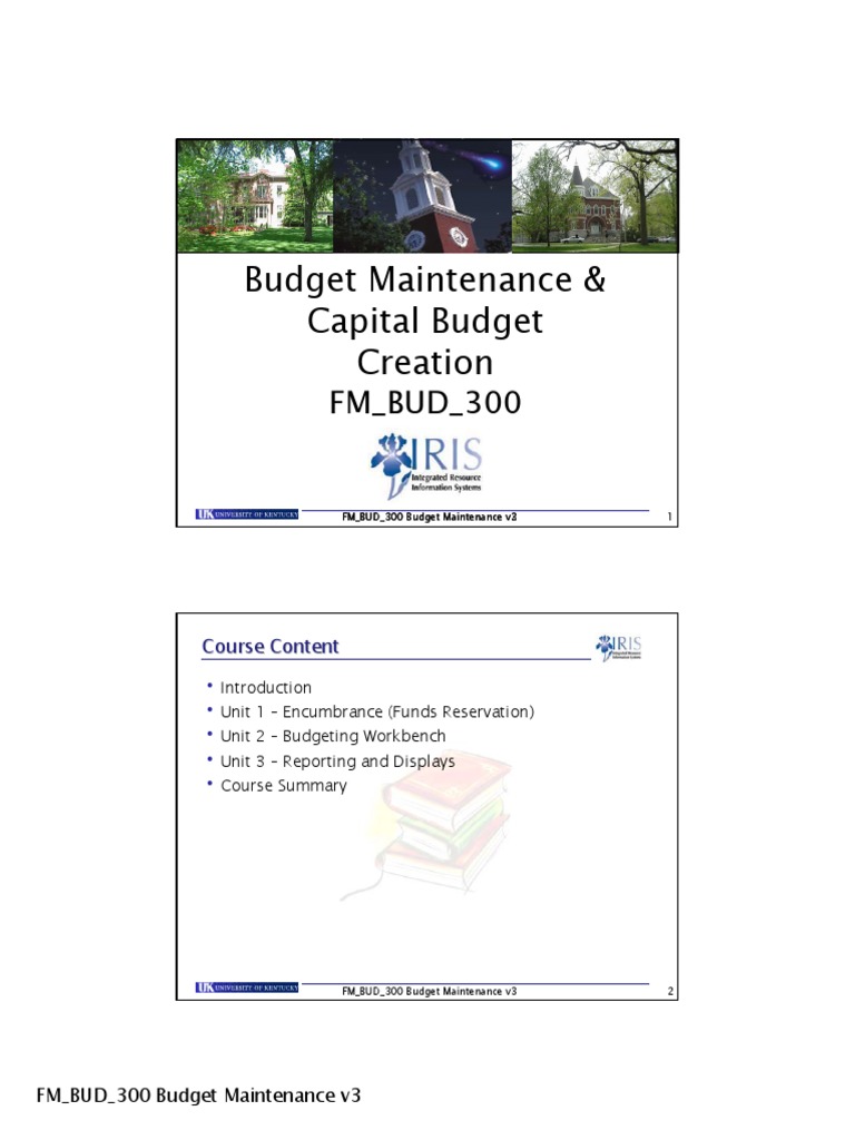 Guide to Creating and Managing Budgets in SAP | PDF | Budget ...