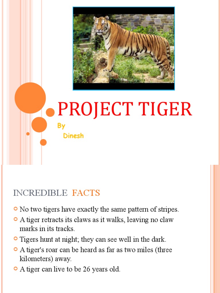 Project Tiger: by Dinesh | PDF | Tiger | Business