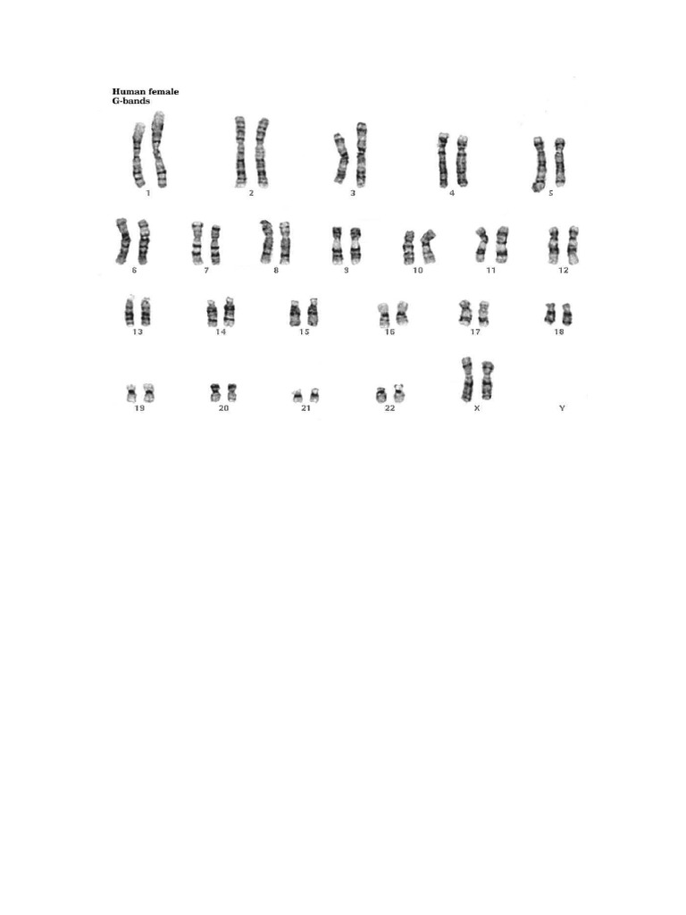 Ejercicio 1 Ordenar Según La Clasificacion de Denver | PDF