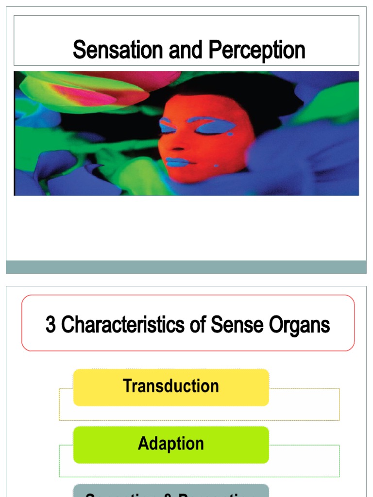 CH 3 Sensation and Perception 2017 | PDF | Hearing | Ear