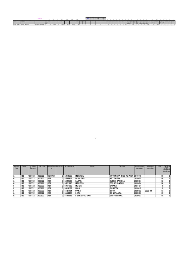 COO Activity Report | PDF