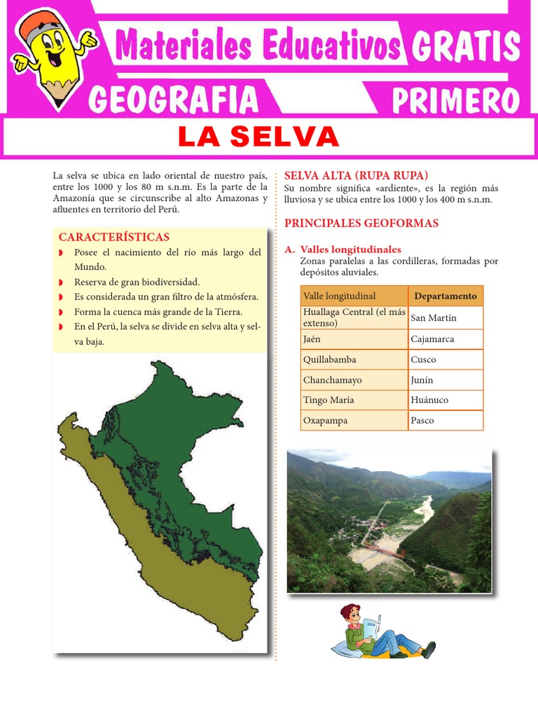 La Selva para Primer Grado de Secundaria | PDF | Geomorfología ...