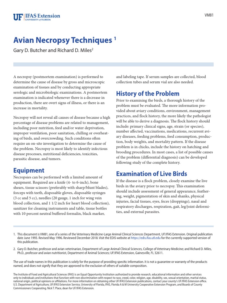 Avian Necropsy Techniques: History of The Problem | PDF | Abdomen ...