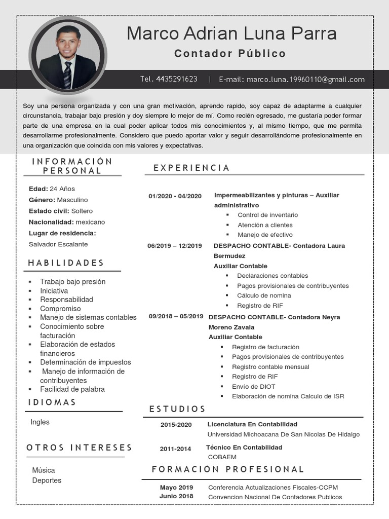 Curriculum Vitae | PDF | Contador | Contabilidad